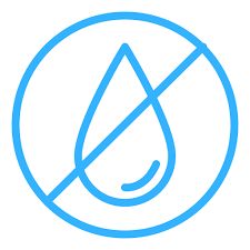 EVOLUTION PROCESS | Genially