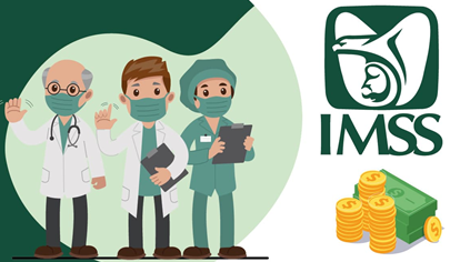 Estructura de la organización IMSS