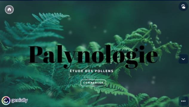 TP PRESENTATION | Genially