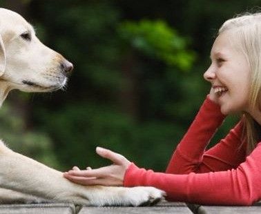 INFO HORIZONTAL COMUNICACION ANIMAL VS HUMANA