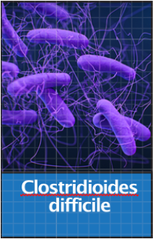 Microbial Guess who_versionH24 | Genially