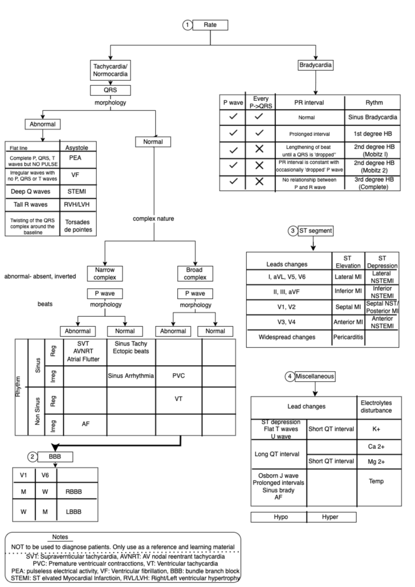 Copy - Interactive image | Genially