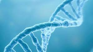 ADN interactivo | Genially