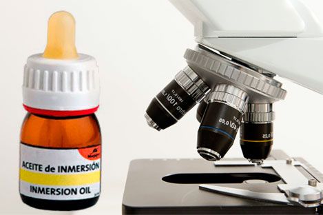 Coloración de Gram | Genially