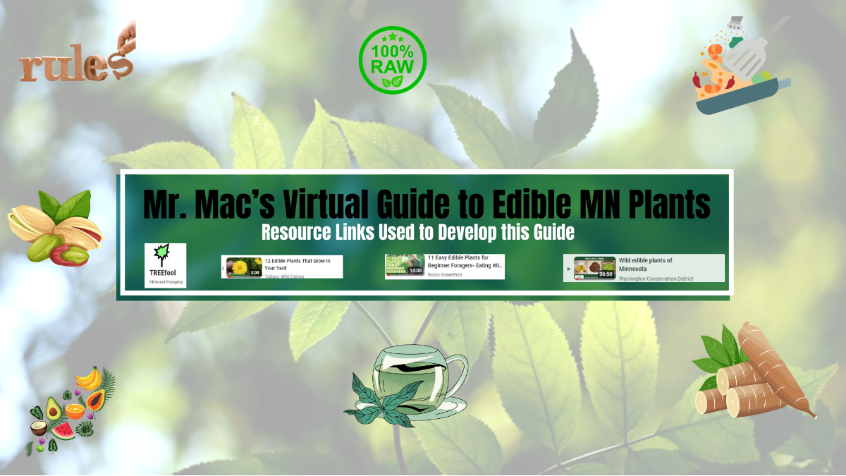 Mr. Mac Virtual Guide to Edible MN Plants | Genially