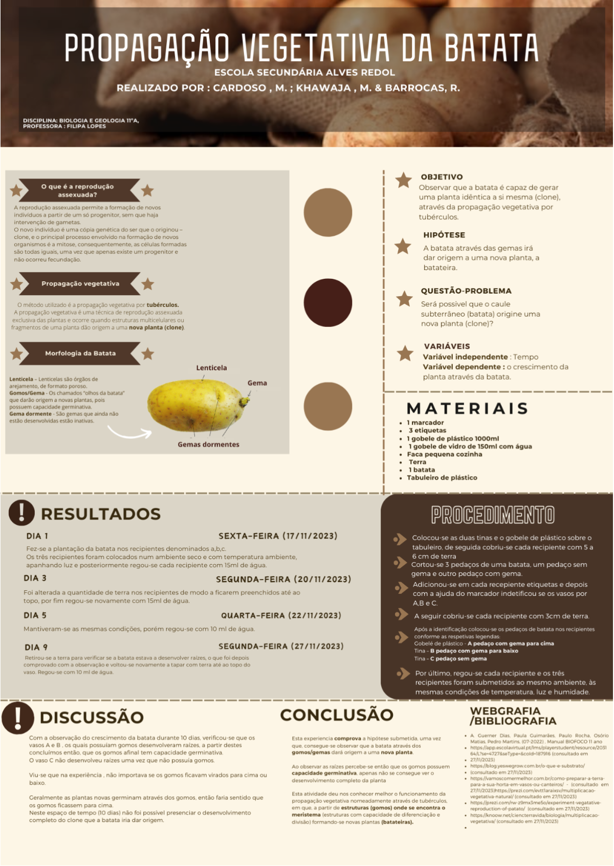 poster interativo batata