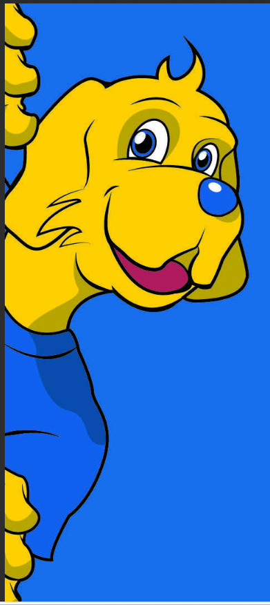 Focus Group Certificate | Genially