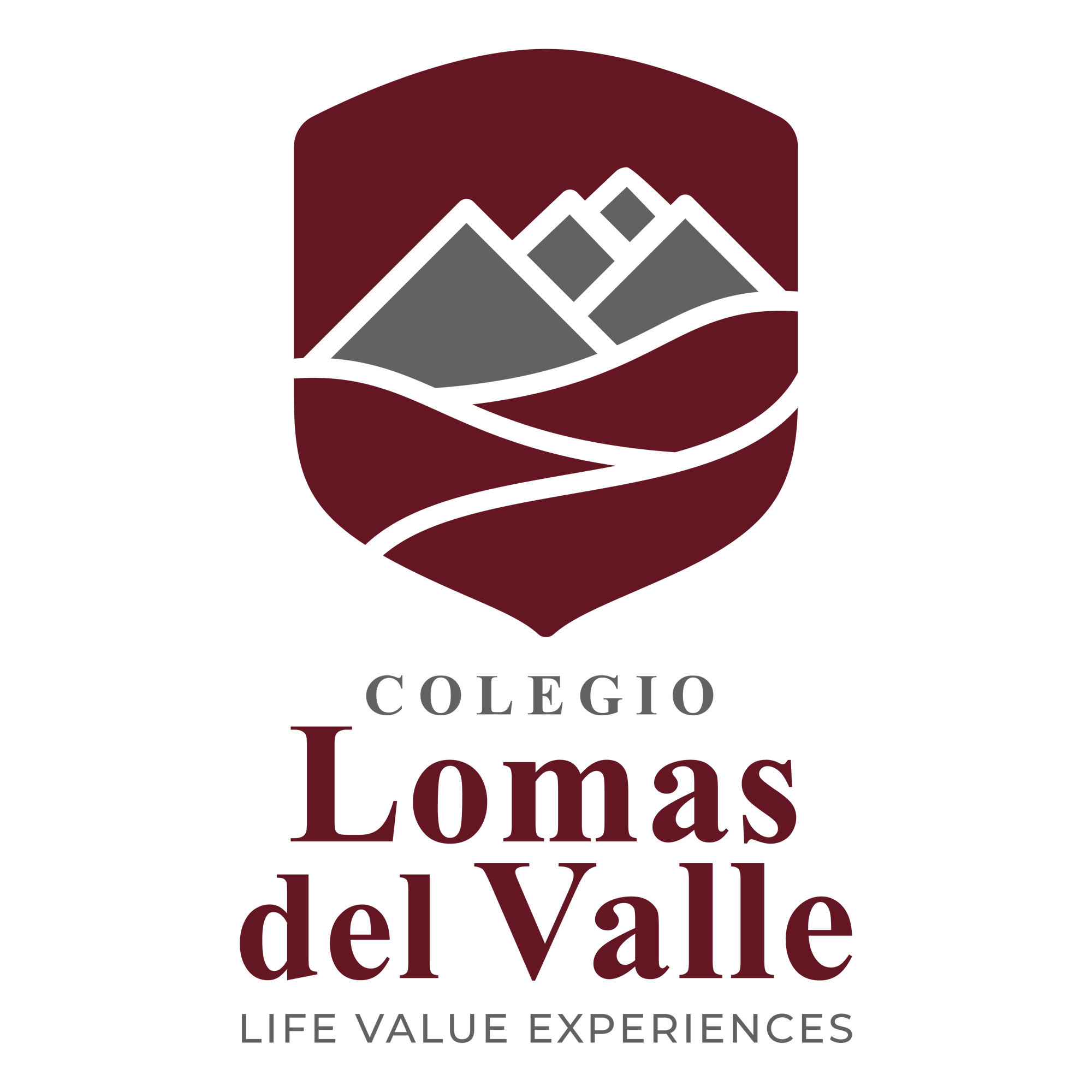 Cursos Knotion Academy | Genially