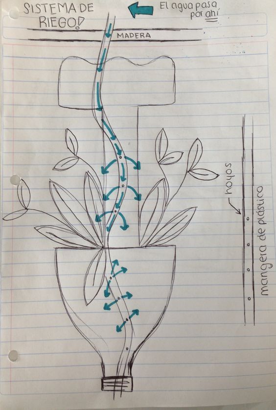 Pasos Boceto | Genially