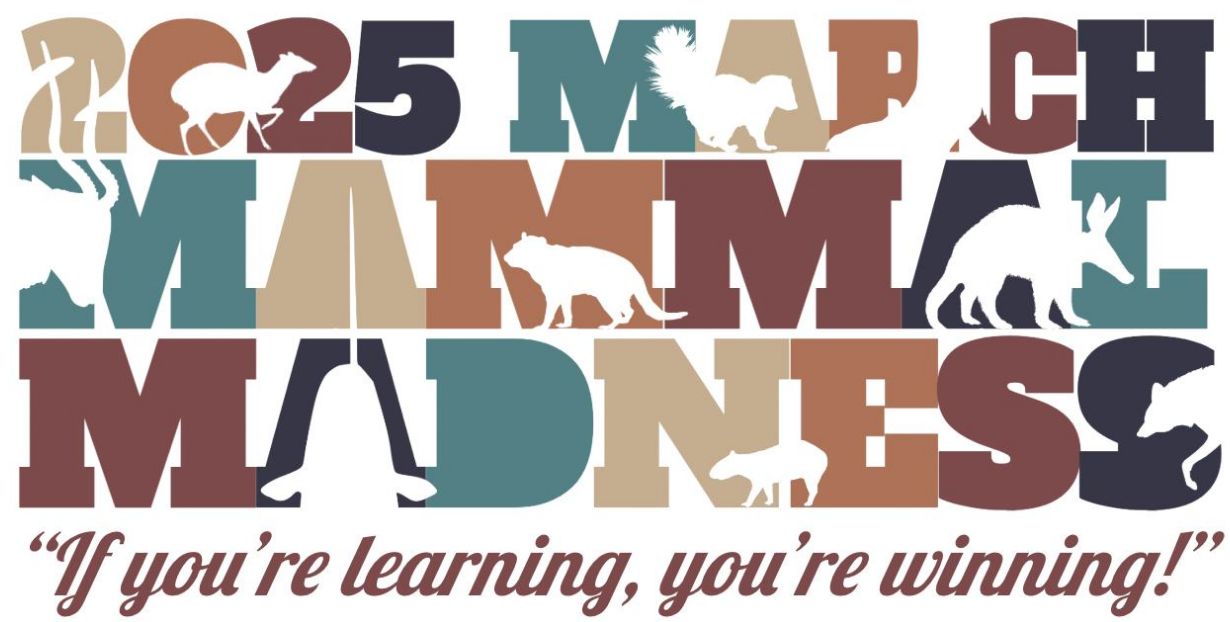 2025 March Mammal Madness | Genially