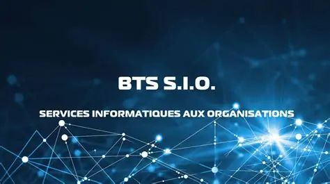 Présentation stage Oral BTS | Genially