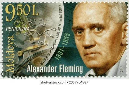 infografía Alexander Fleming | Genially