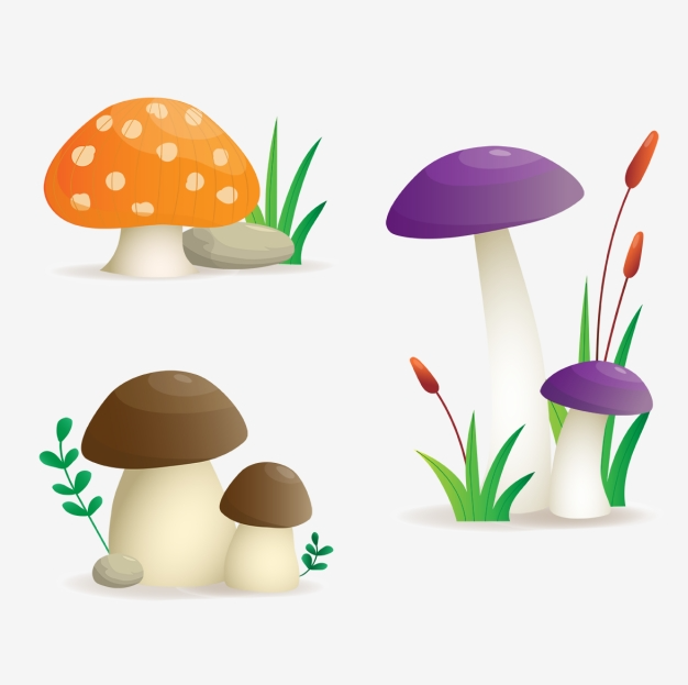 Imagen interactiva | Genially