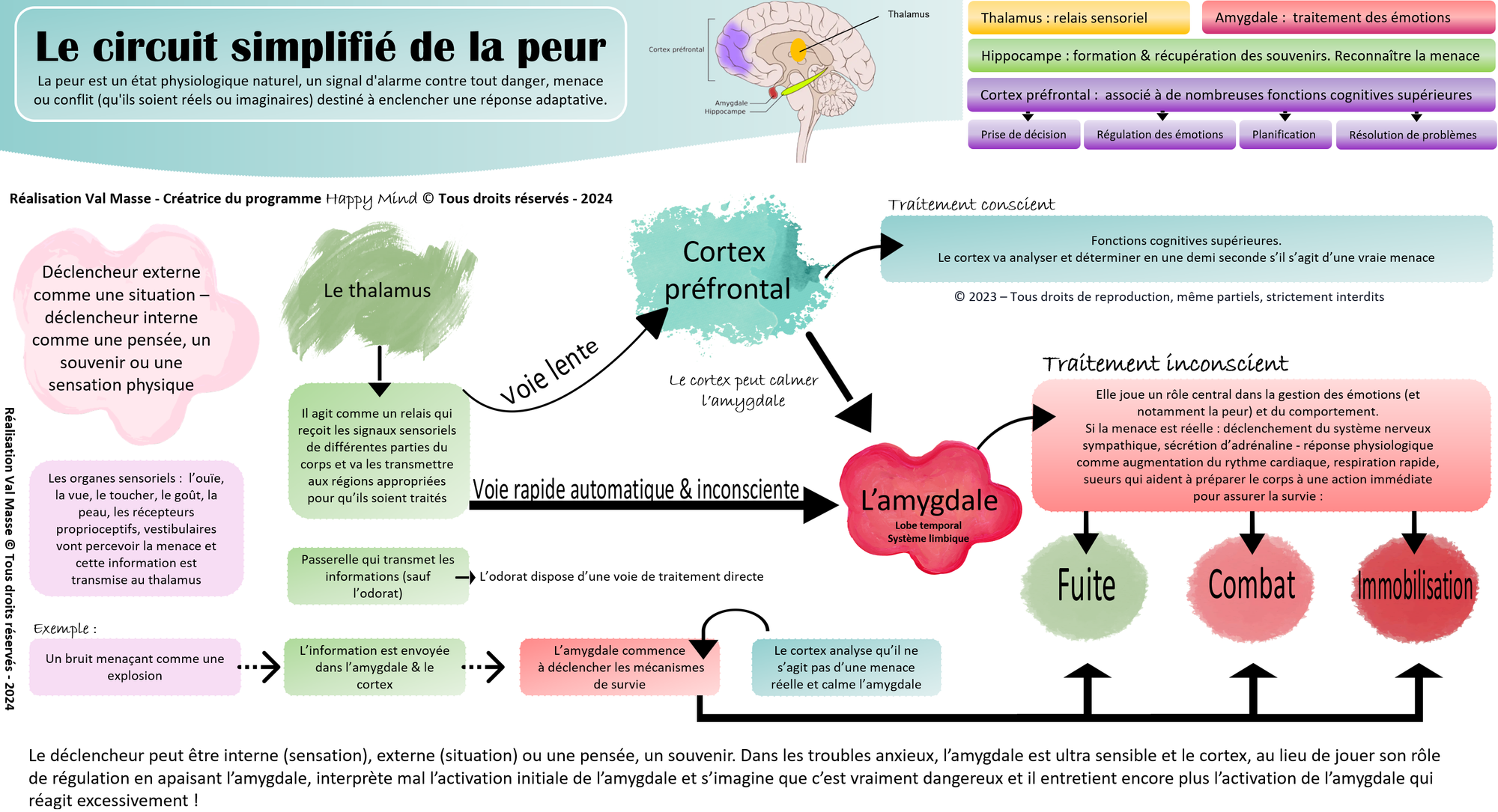 Le circuit simplifié de la peur | Genially