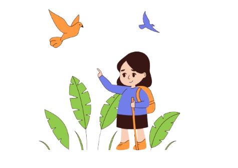 MAPA BOSQUE | Genially