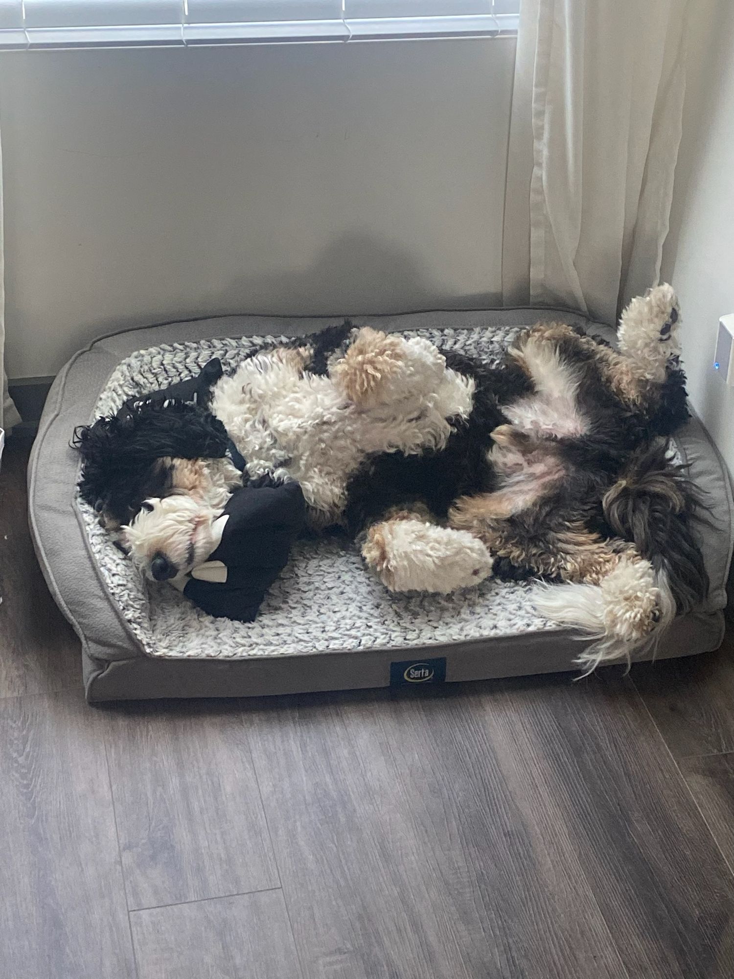 Neolithic Age Timeline