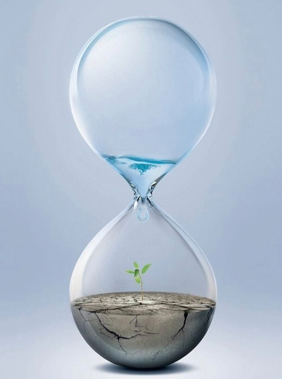 Immagine interattiva- educazione civica- Alice Benedetta Dini 2cLsu