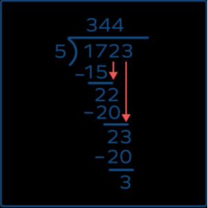 La división | Genially
