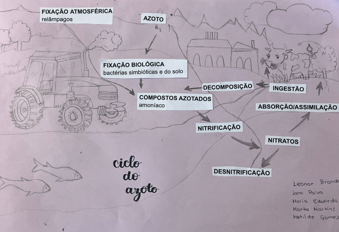 Ciclo do Azoto | Genially