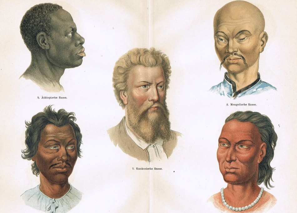 Biotipologías o Razas Humanas | Genially