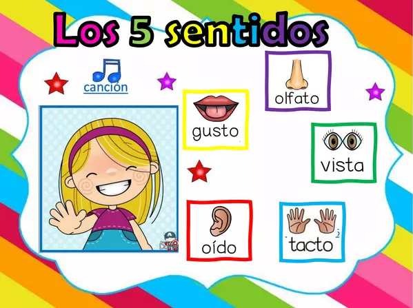 LOS 5 SENTIDOS