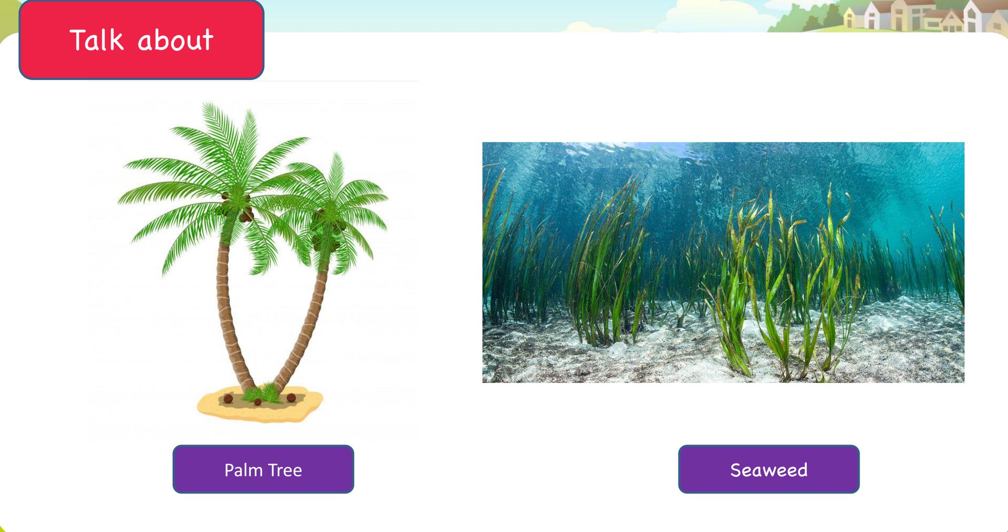 summer warm up | Genially