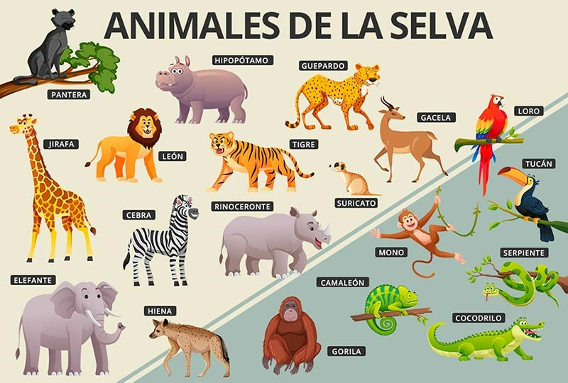 LOS ANIMALES DE LA SELVA | Genially