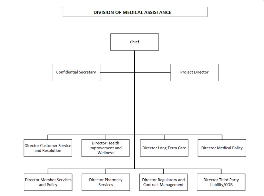 Georgia Medicaid Agency Organization | Genially