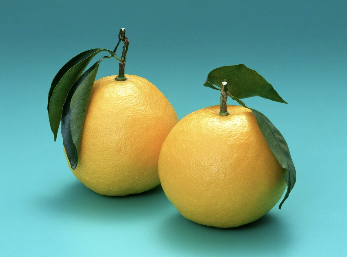 LIST OF LEVELS | Genially