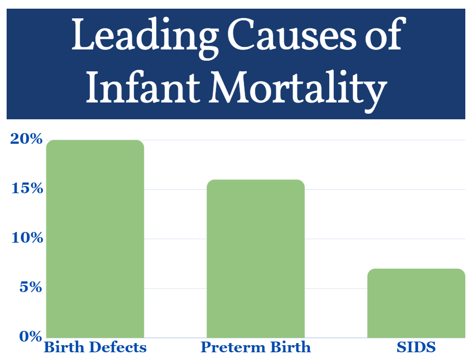 Causes of Infant Mortality | Genially