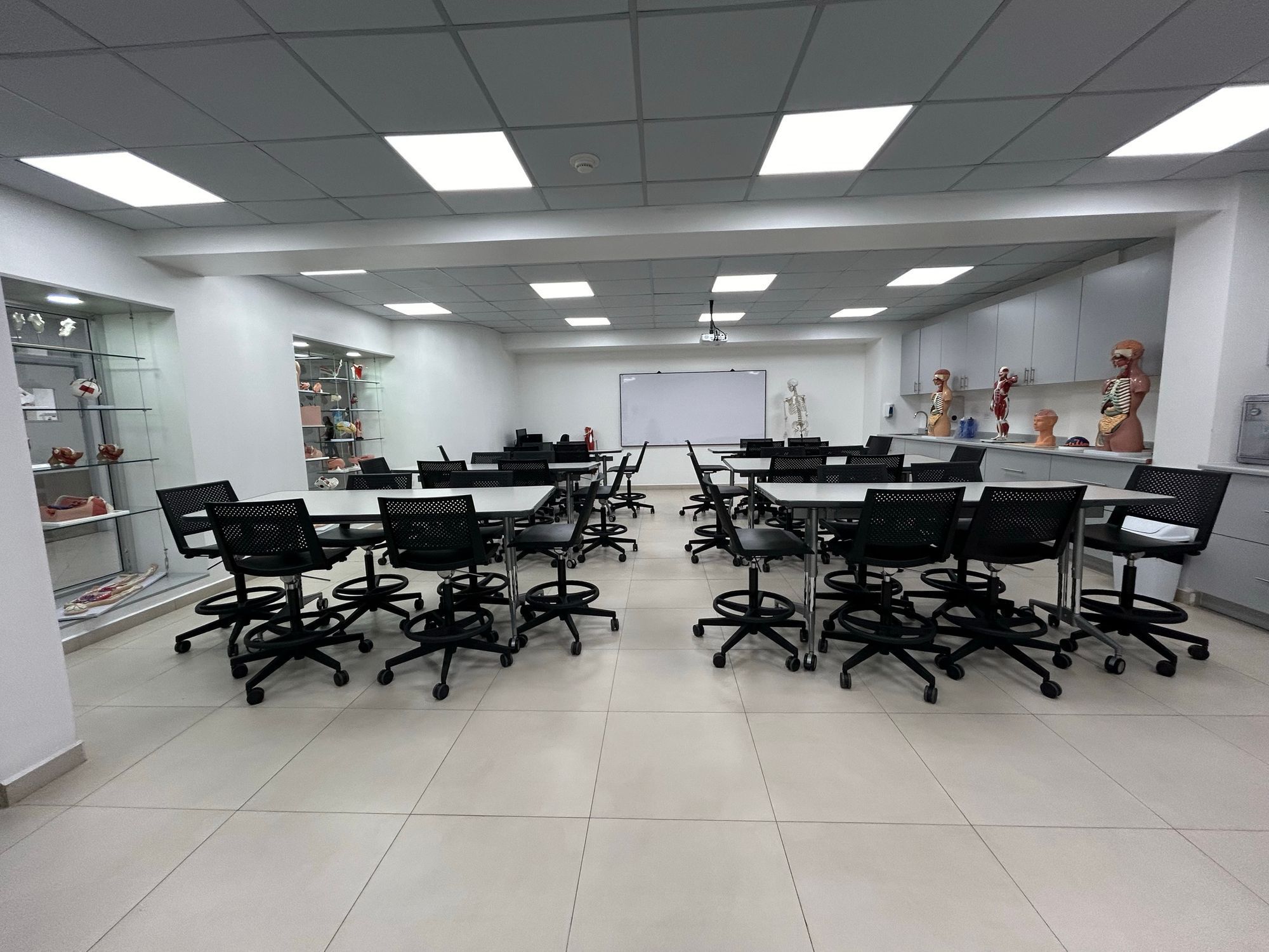 Micrositio ECS | Genially