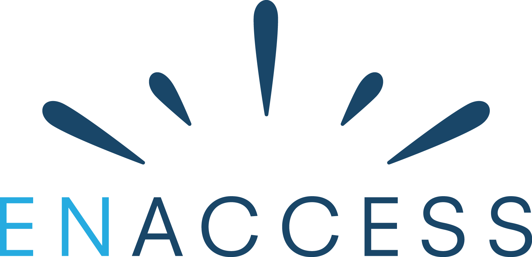 EnAccess - What we do