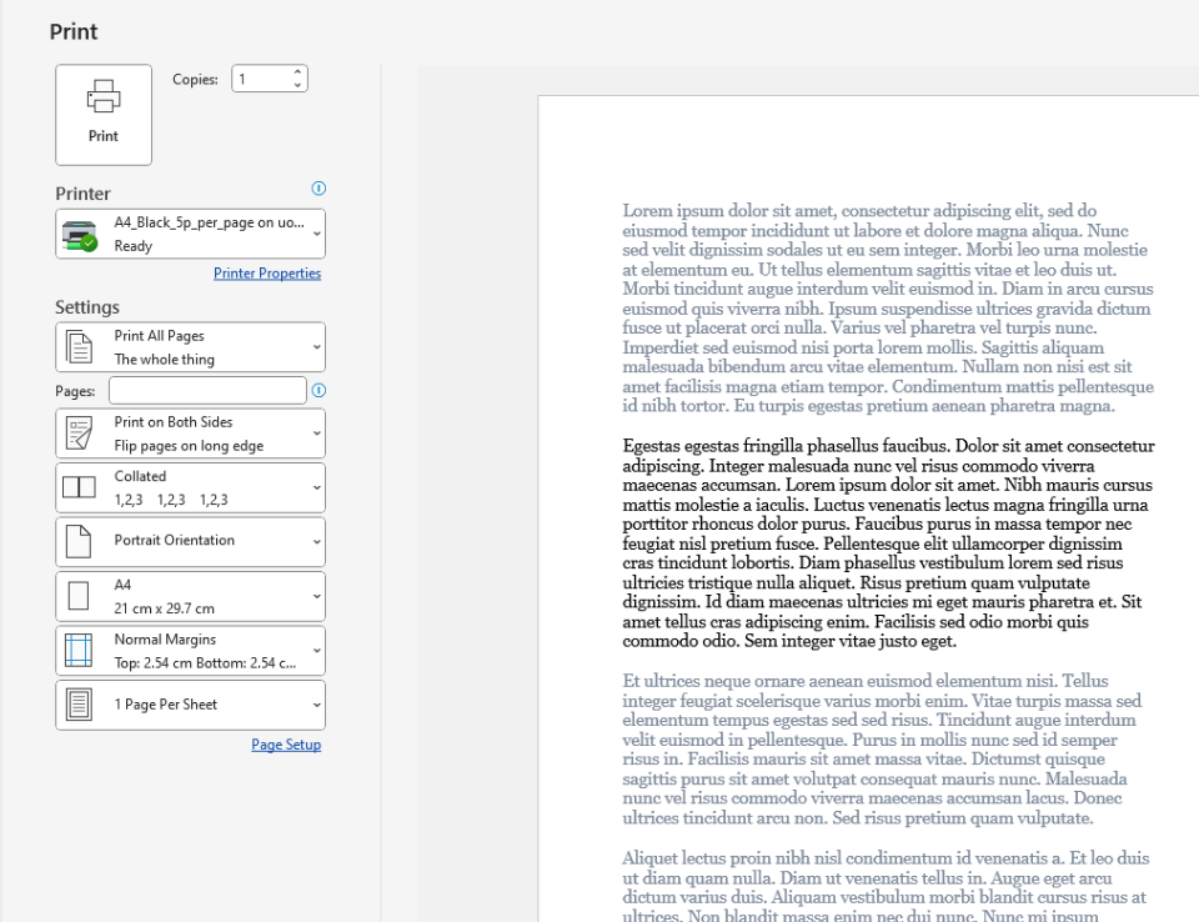 Printing settings | Genially