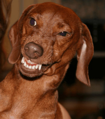 Zones of regulation | Genially