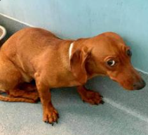 Zones of regulation | Genially