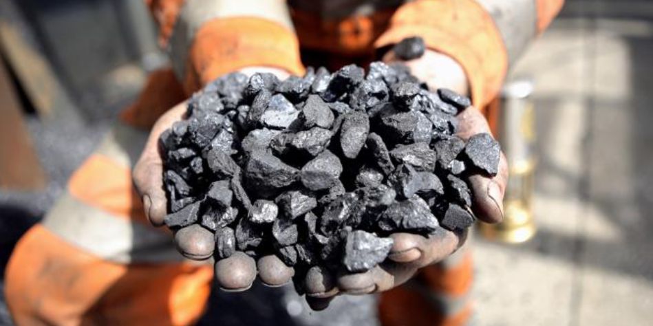 Il carbone: spiegazione 3a media | Genially