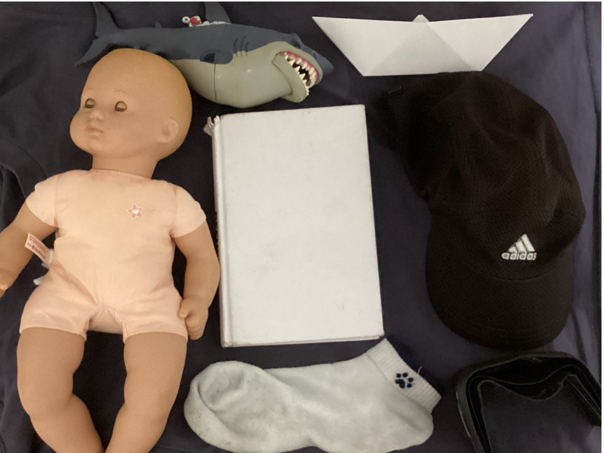 Copy - Interactive image