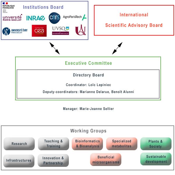 SPS organization chart | Genially