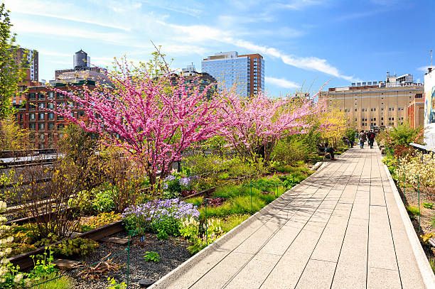 The High Line | Genially