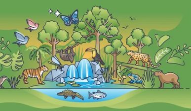 SVT Biome la toundra | Genially