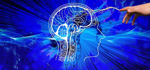 Comment j'apprends | Genially