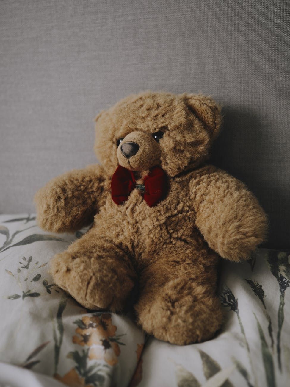 The planet of teddy bears | Genially
