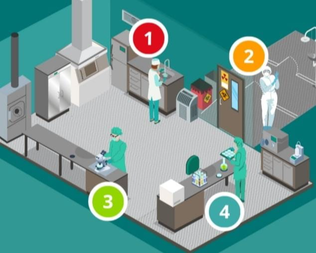ilustración interactiva normas de bioseguridad | Genially