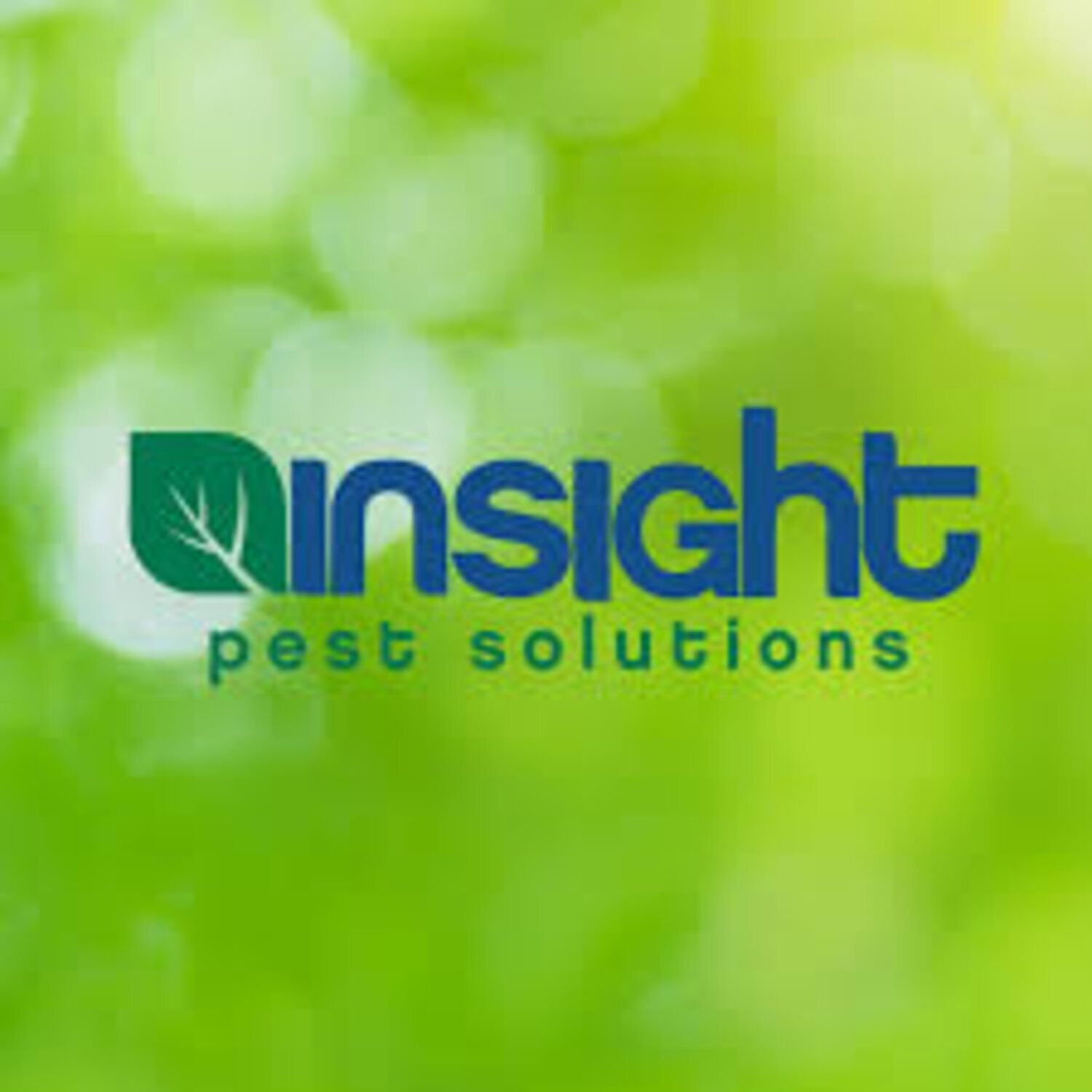 Insight Pest Solutions