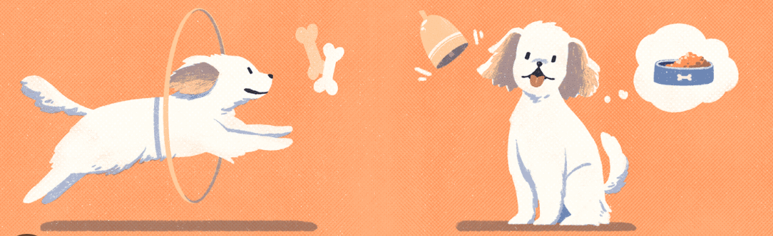 Learning Theories P1 Genially