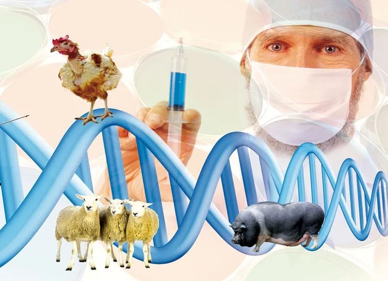 La biotecnología como profesión | Genially