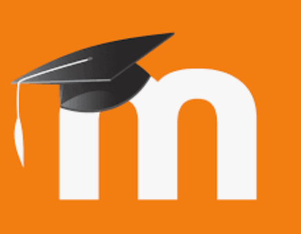 PLE Alice | Genially