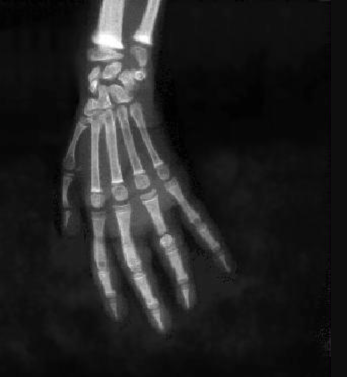 Sorting Cards | Genially