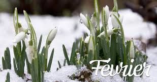 rituels cp ce1 | Genially