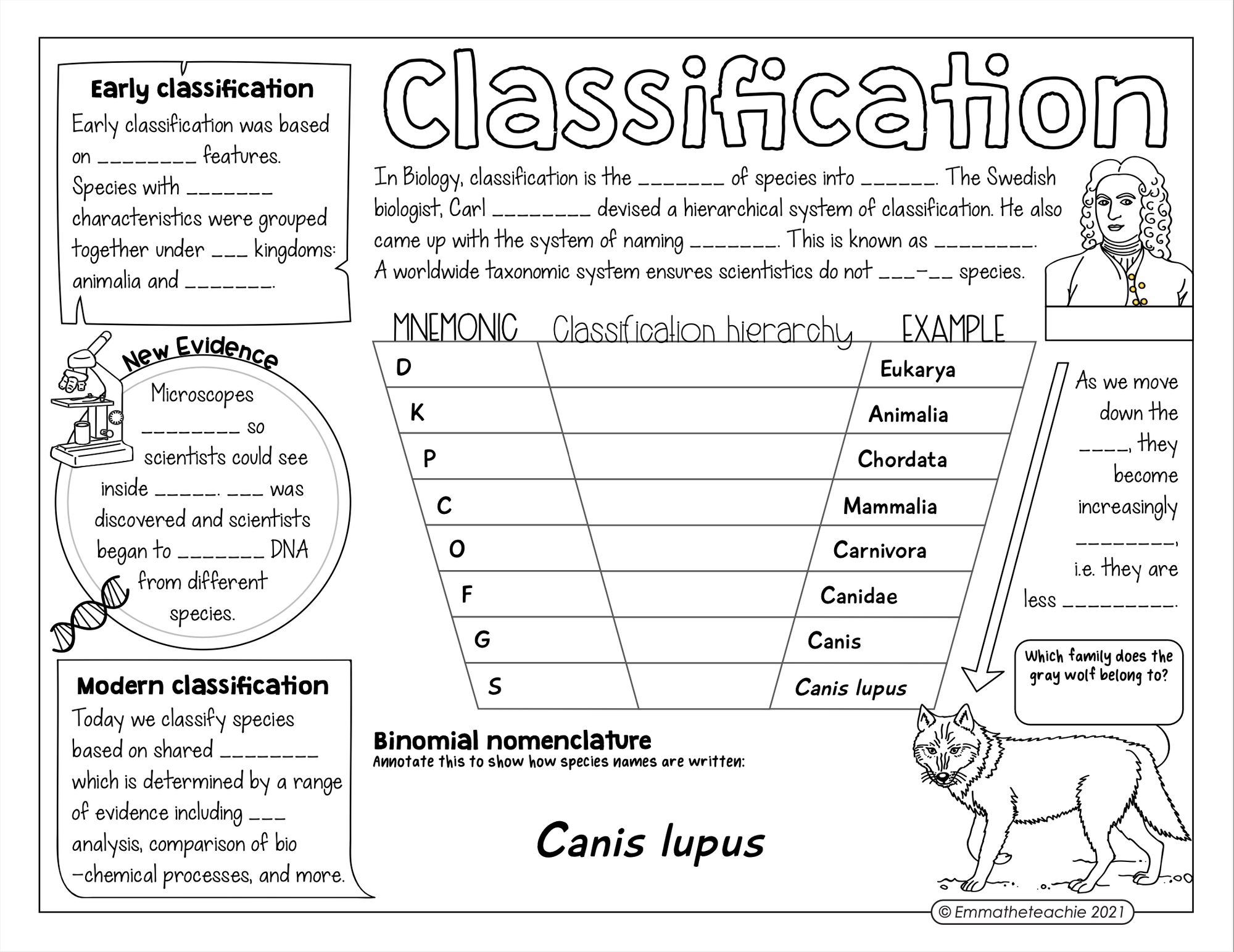 Classification Doodle Note | Genially